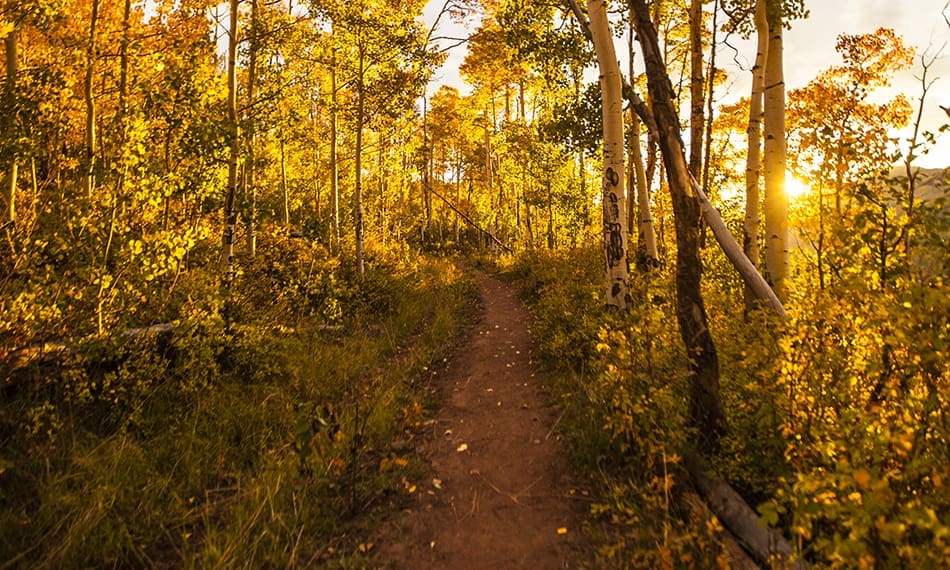 3 Hikes: Snowmass By Foot - The Scoop | Go Snowmass