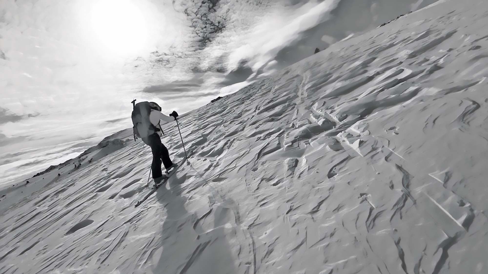 Events Calendar | ACES Wild Perspectives Featuring Art Burrows and ...